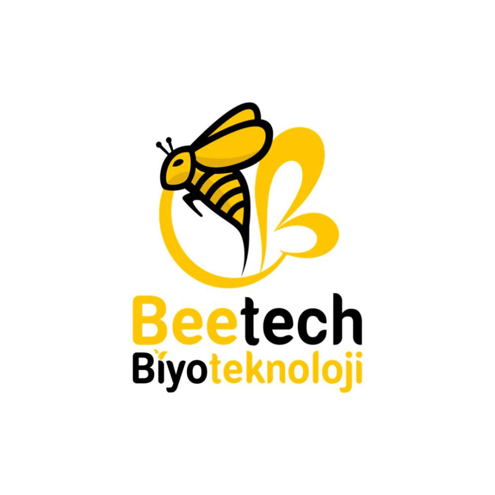 EWA - Empowering Women in Agrifood Program 2024 - Foodback